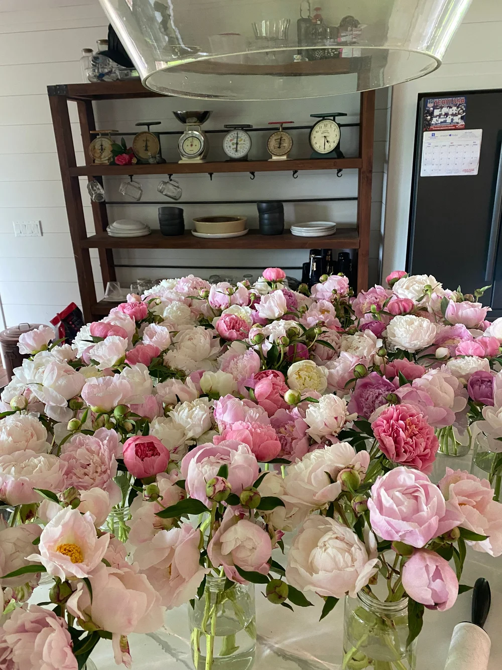 How to Grow Peonies on Your Flower Farm — Lynsey Taulbee