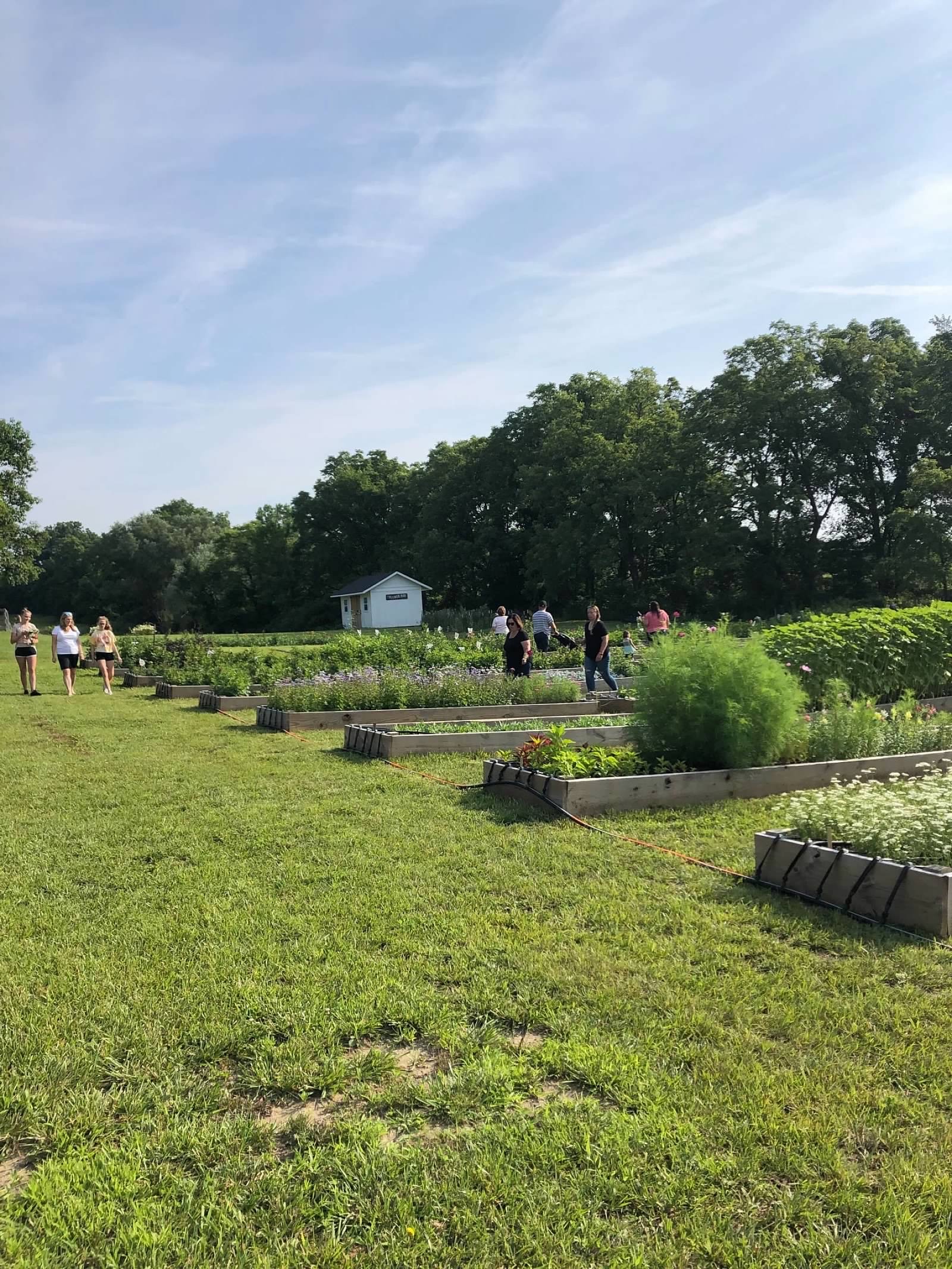 Choose a Location for Your Flower Field — Lynsey Taulbee