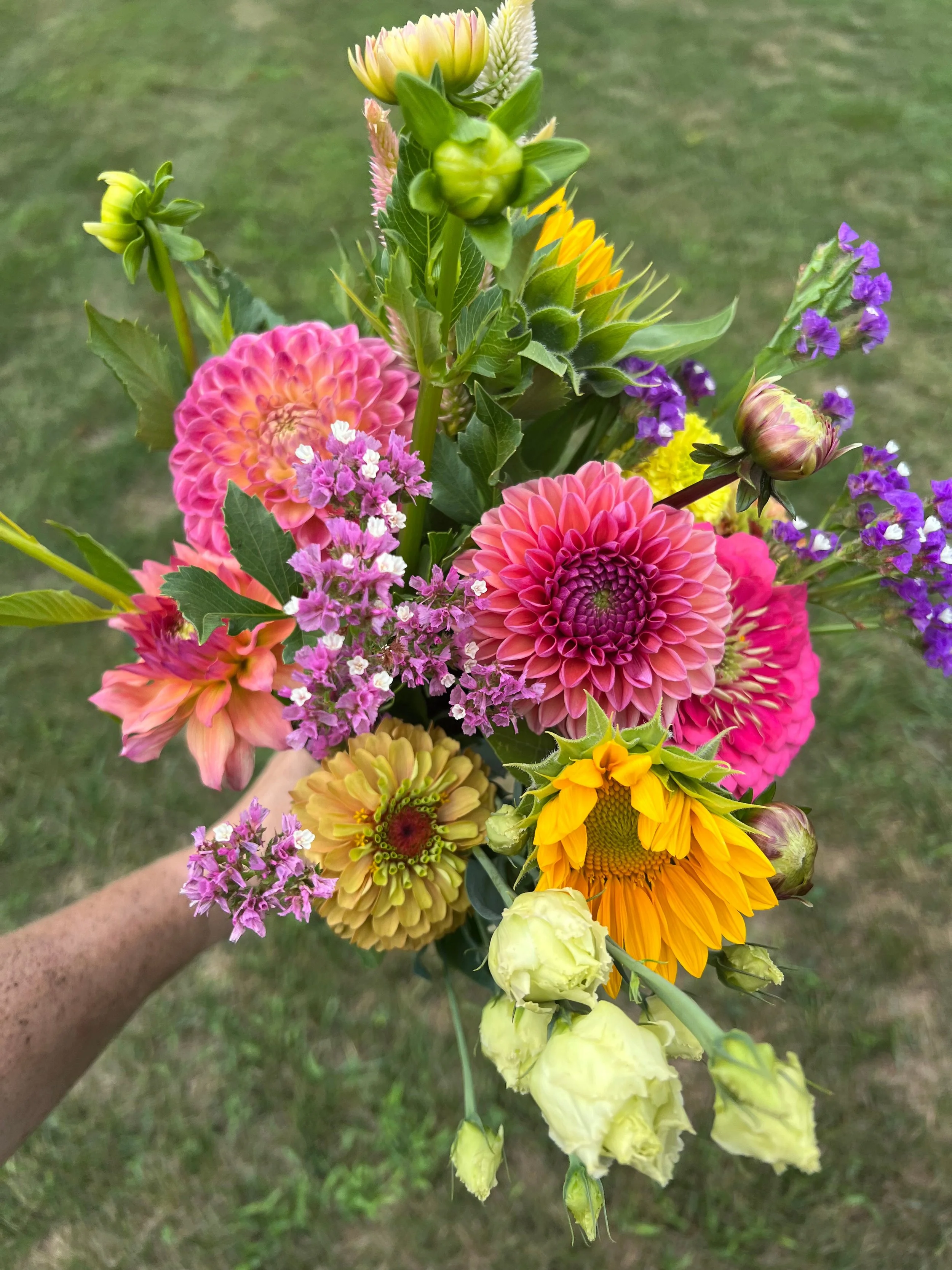 Flower Farming Courses, Tools, and Resources for Growing Your Cut ...