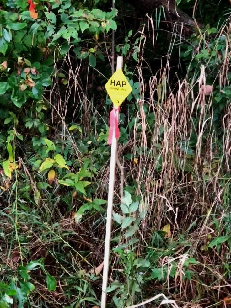 Hunter Access Program (HAP) — Jackson County CD