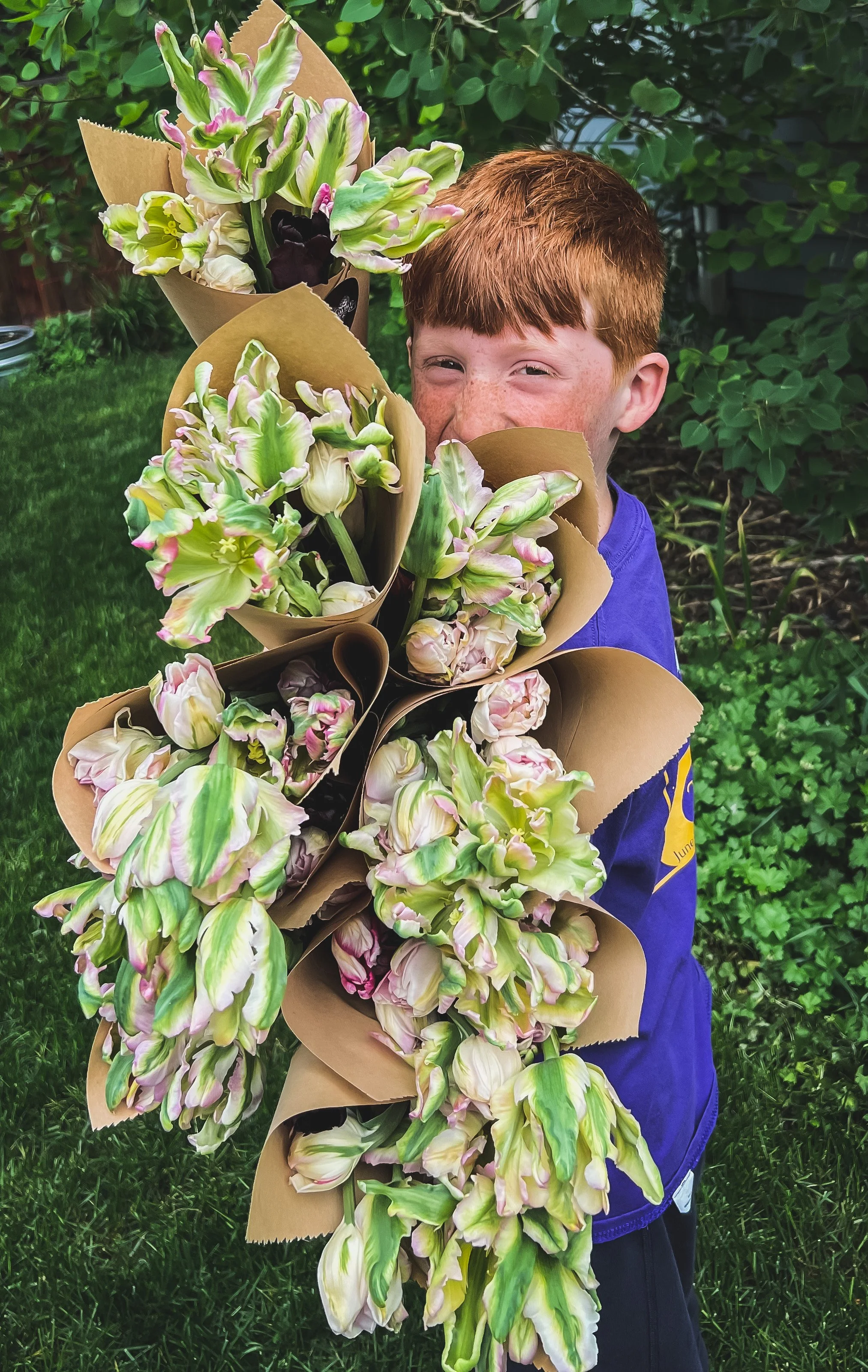 Shop Cut Flowers, Tubers & Bulbs, and Merch — Black Petal Farm