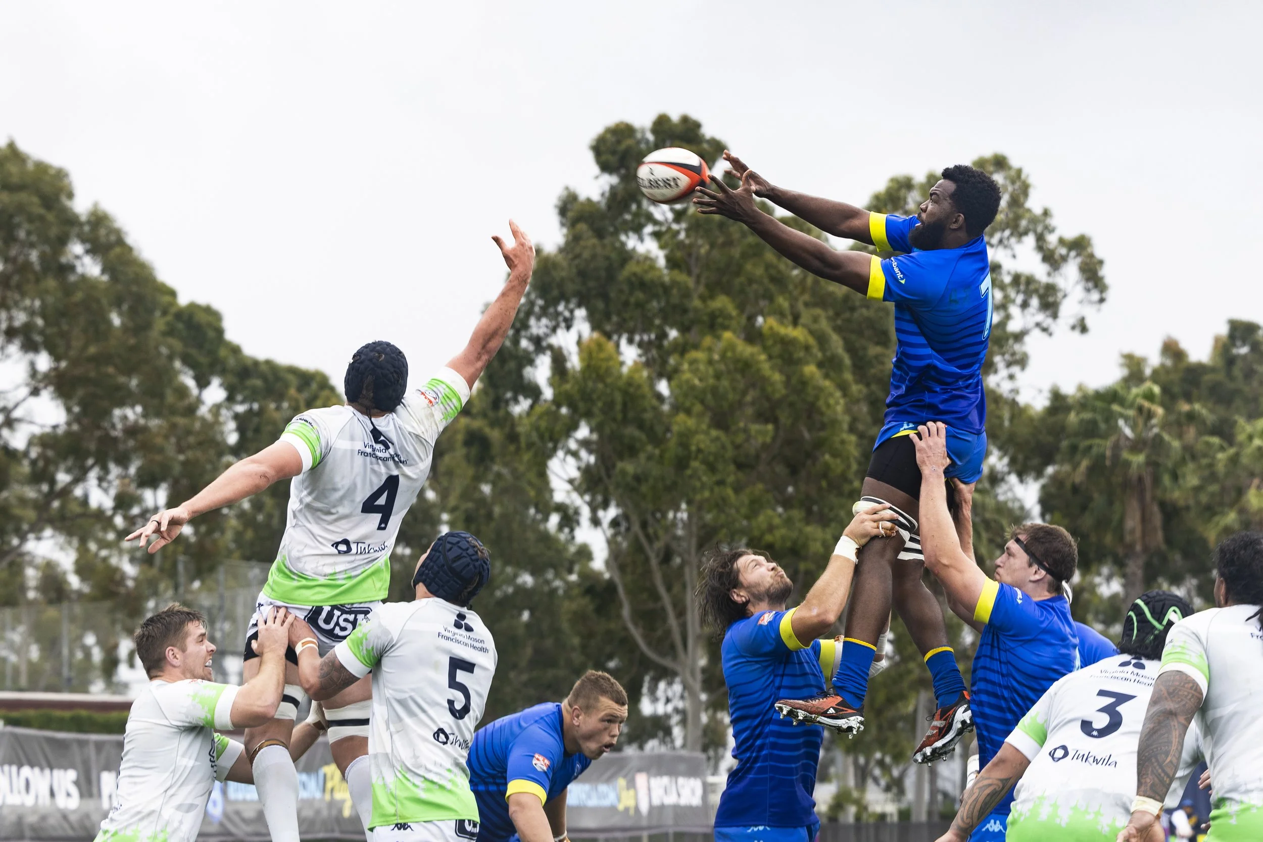 Sports — Caylo Seals