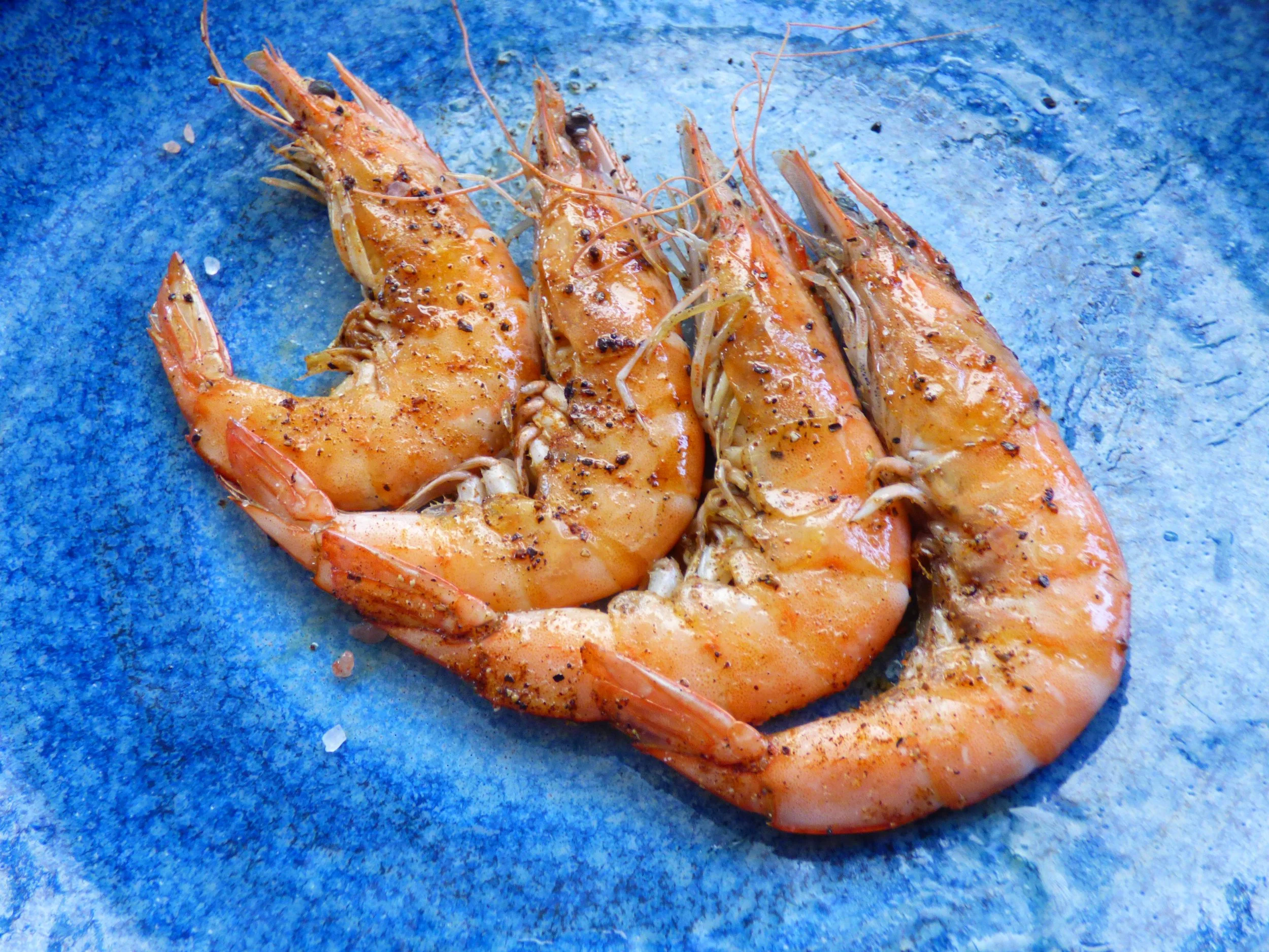 TransparentSea Farm | Premium Prawns | Downey, CA