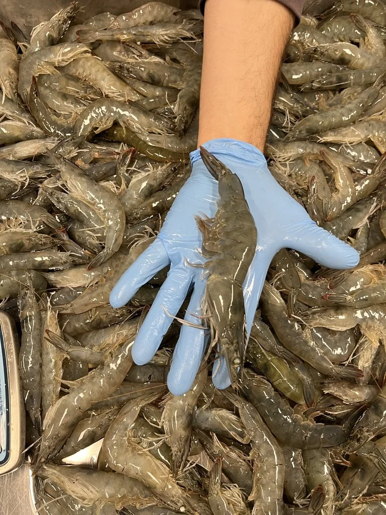 Practices | Sustainability | Resource Efficiency | Food Safety — TransparentSea Farm