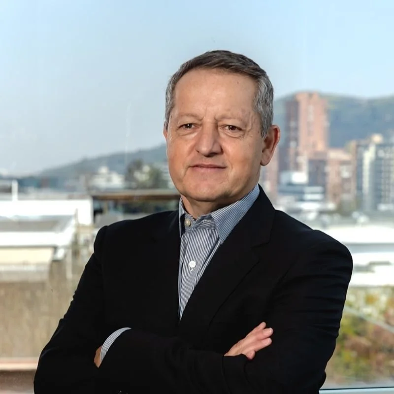 Vinson Consulting - Enzo Rivera, Director Externo