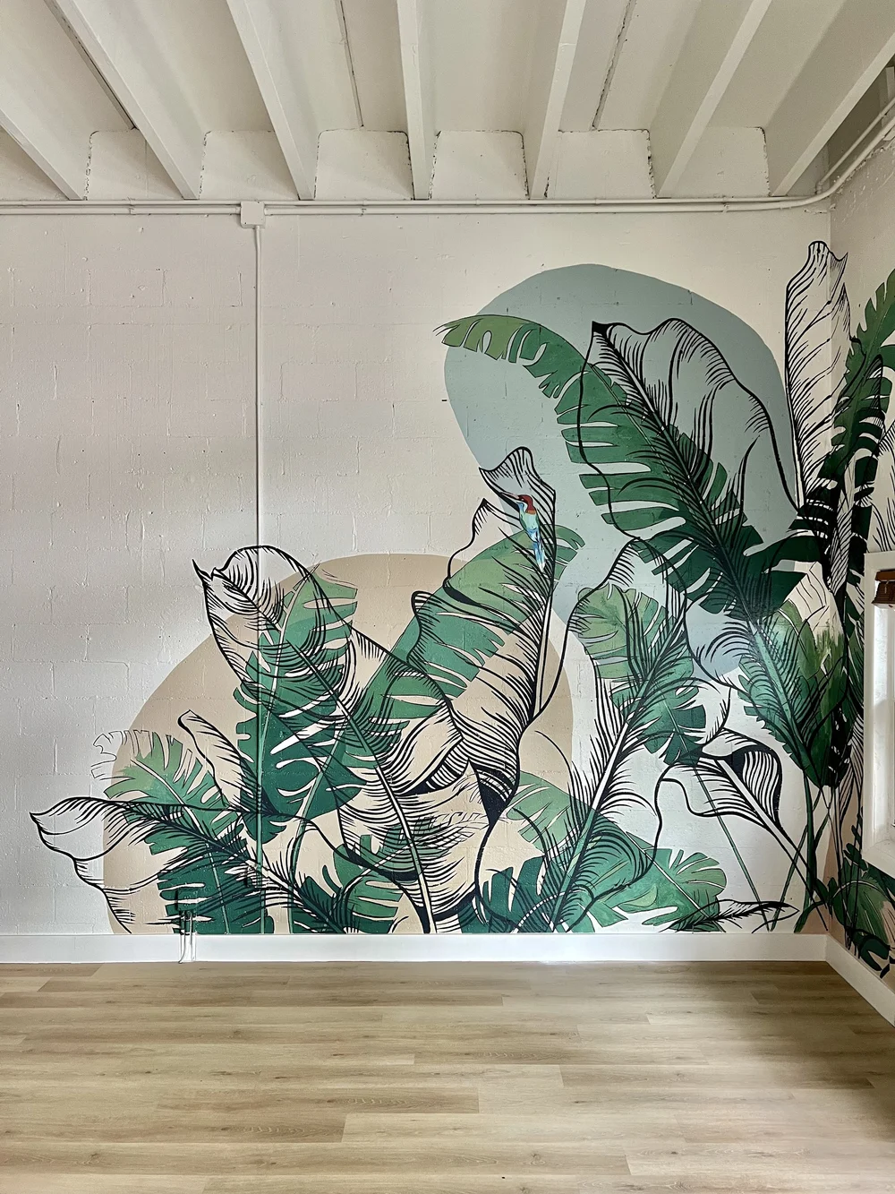 MURALS — ORLA ANANDA MURALS