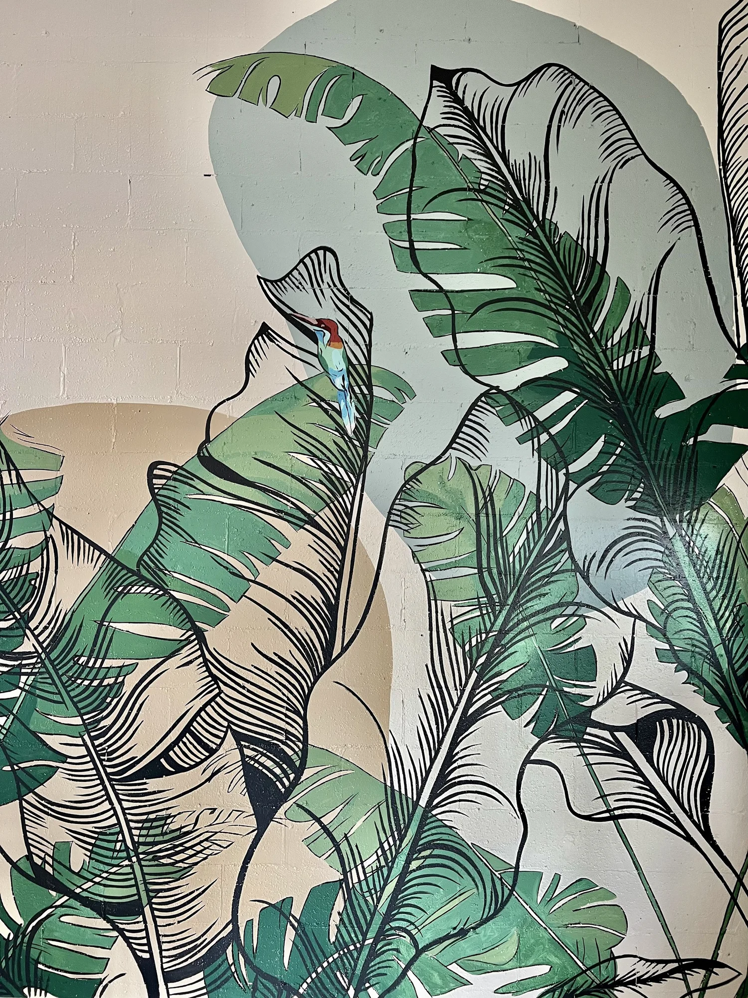 MURALS — ORLA ANANDA MURALS