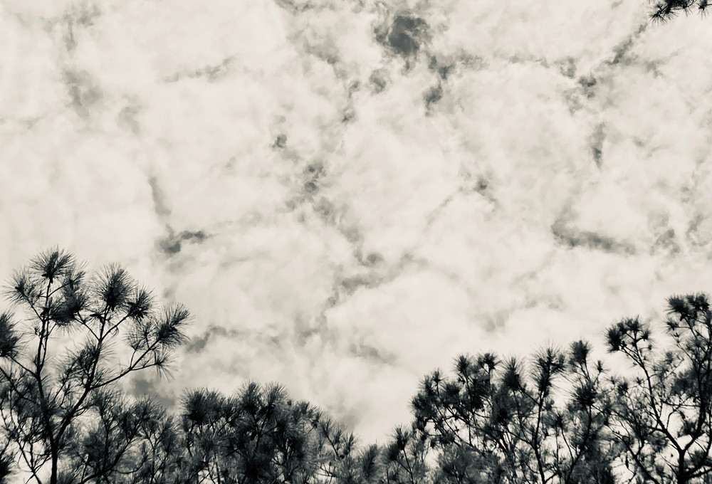 Shop — Scrub House Design