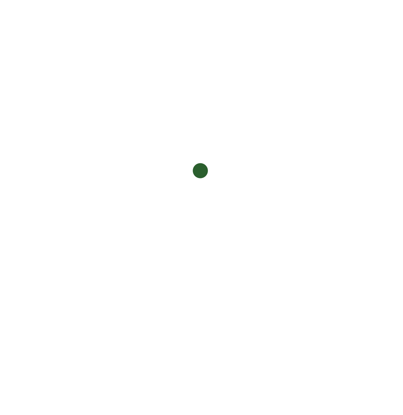 Vietnamese Restaurant Sydney | Phamous Kithen