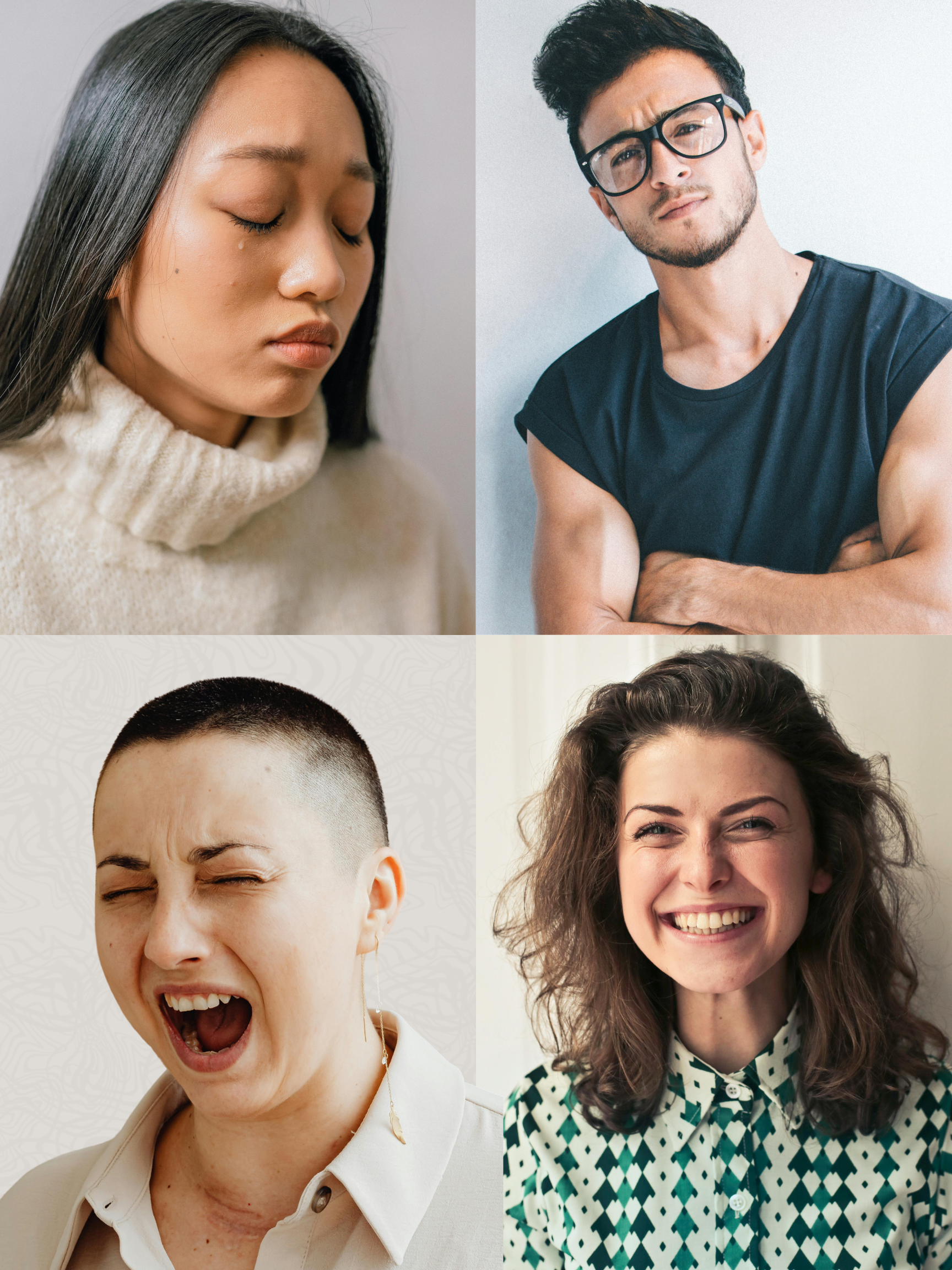 The Feelings Wheel — Risewell Psychology