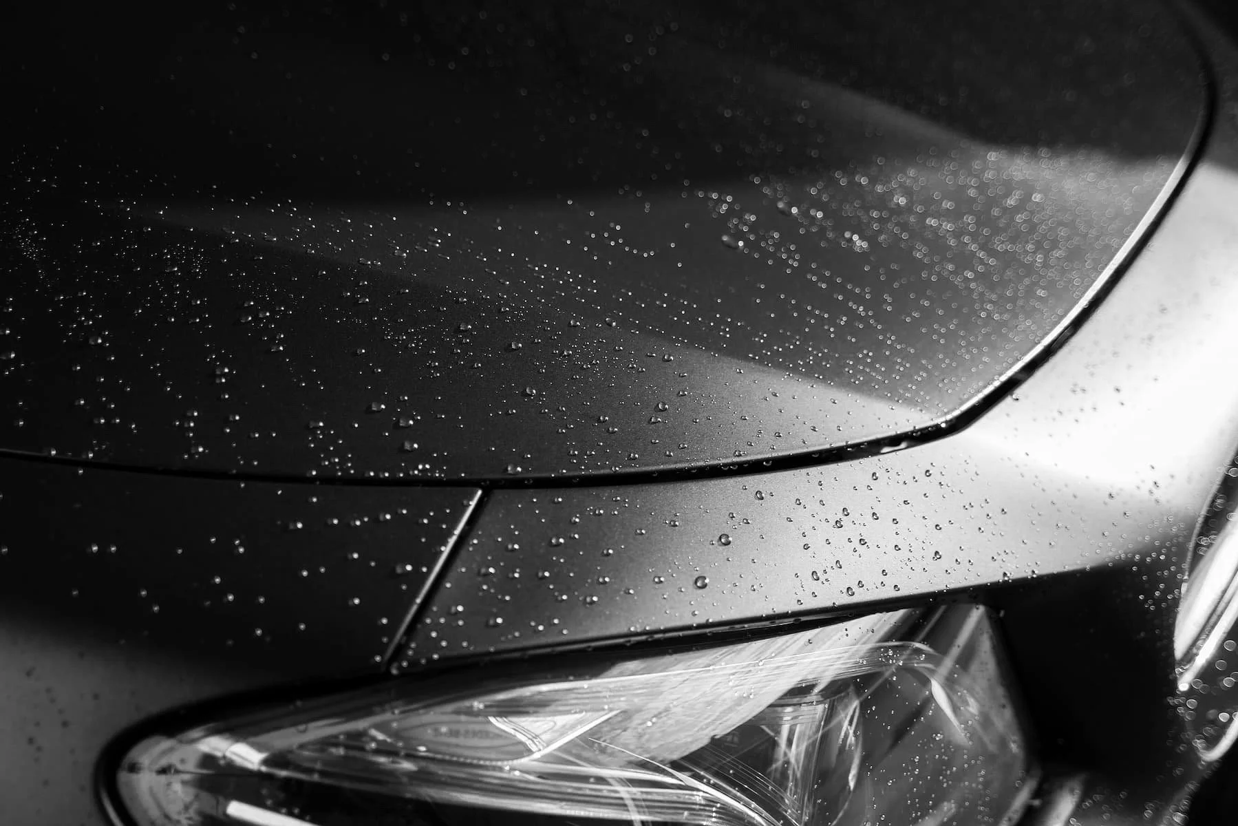 Paint Protection Specialties | Mobile Ceramic Paint Protection Adelaide