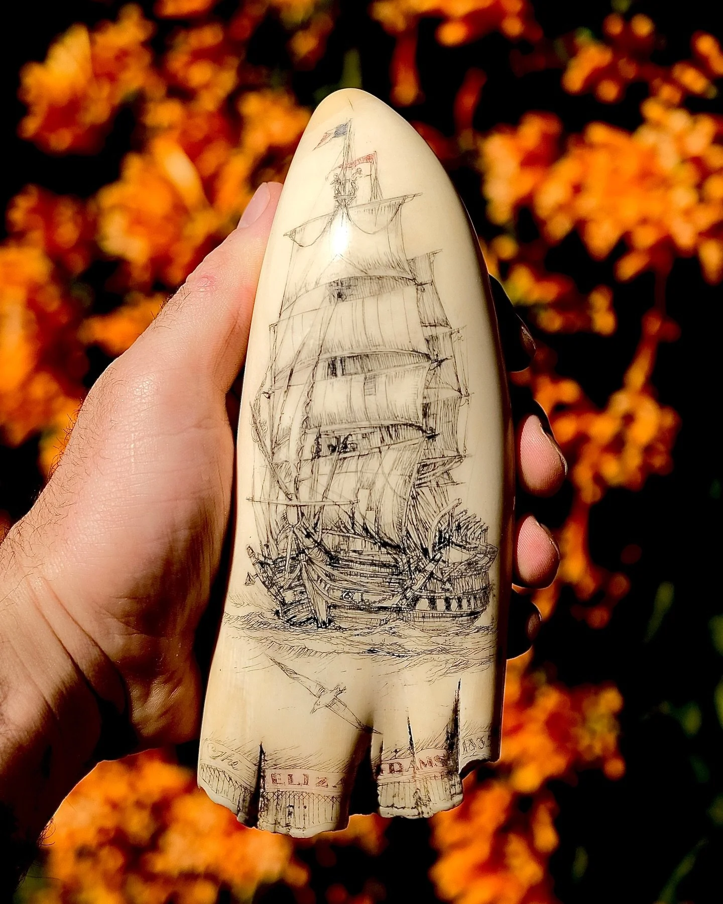 About — Bottom of the Harbour Antiques