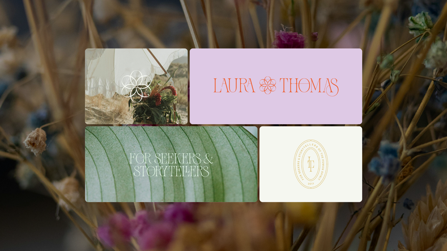 Laura Thomas Author Storyteller Mentor — Third Ginger Studio | Graphic ...