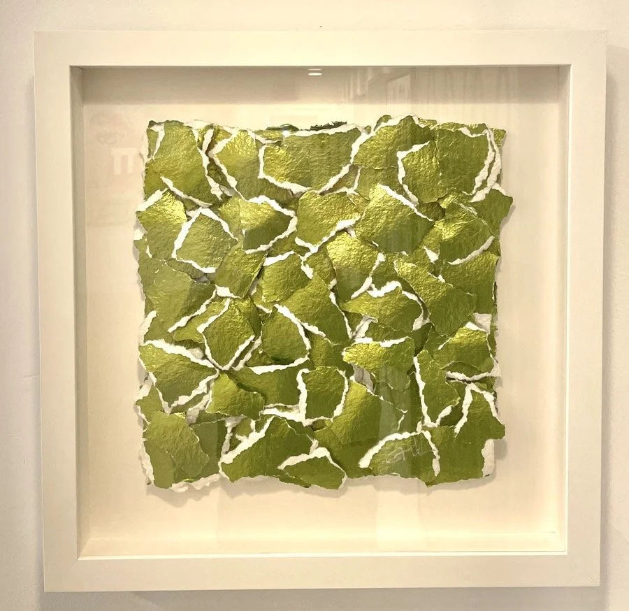 Ted VanCleave — DTR Modern