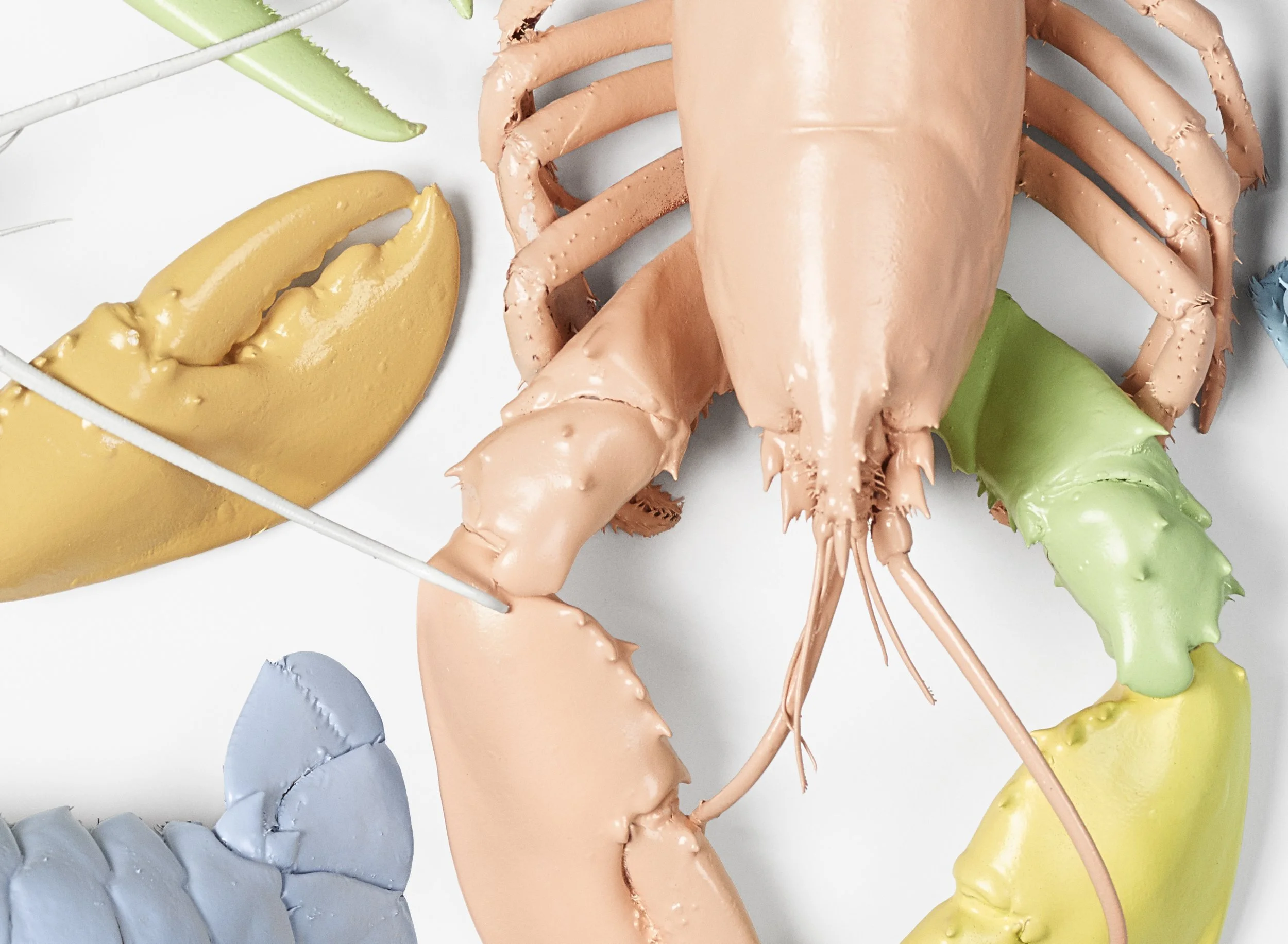 No Artificial Lobsters (Pastel) — DTR Modern