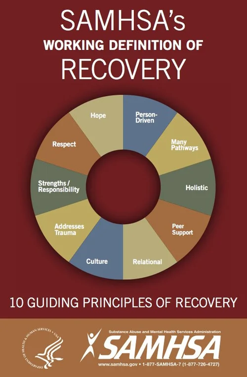 Recovery Models and Frameworks — Chronic Resilience