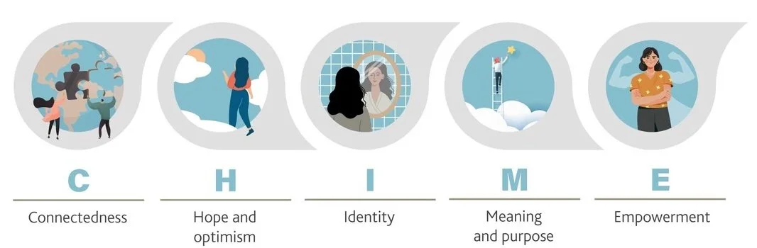 Recovery Models and Frameworks — Chronic Resilience