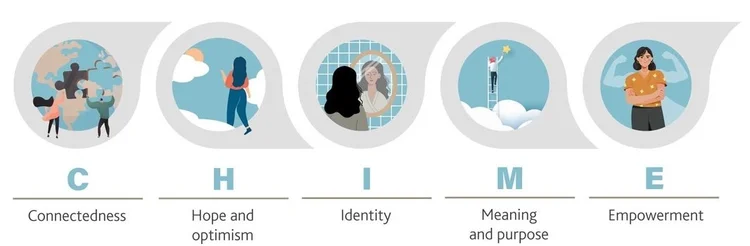 Recovery Models and Frameworks — Chronic Resilience