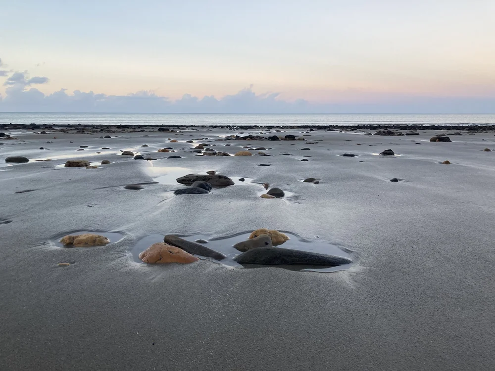 Resources Shop Chronic Resilience