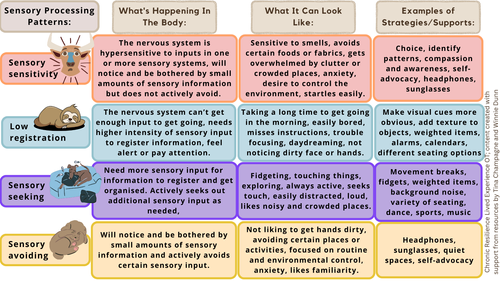 Sensory Processing Systems and Patterns — Chronic Resilience