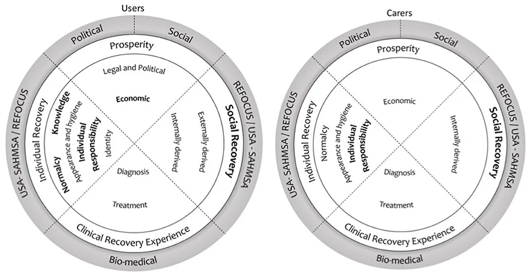 Recovery Models and Frameworks — Chronic Resilience