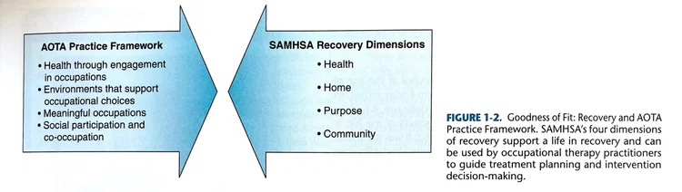 Recovery Models and Frameworks — Chronic Resilience