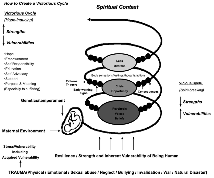 Recovery Models and Frameworks — Chronic Resilience OT