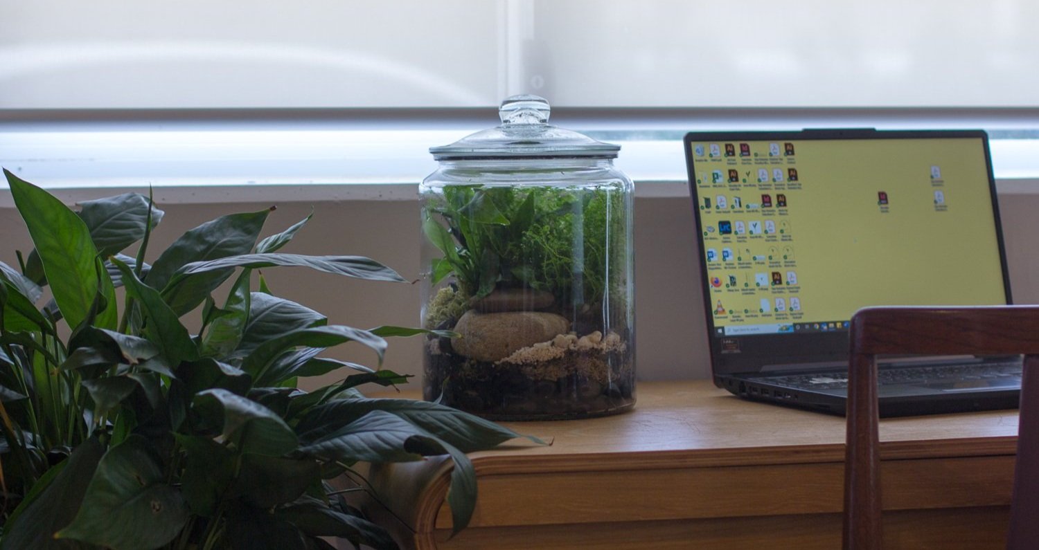 Botanical Styling — Tiny Botanica