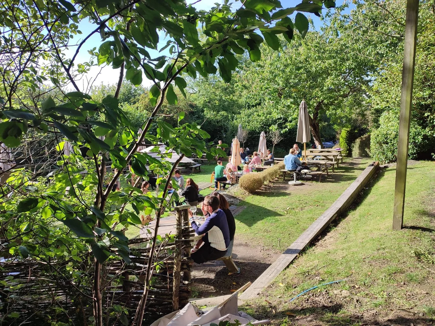 Gallery — The Shepherd and dog