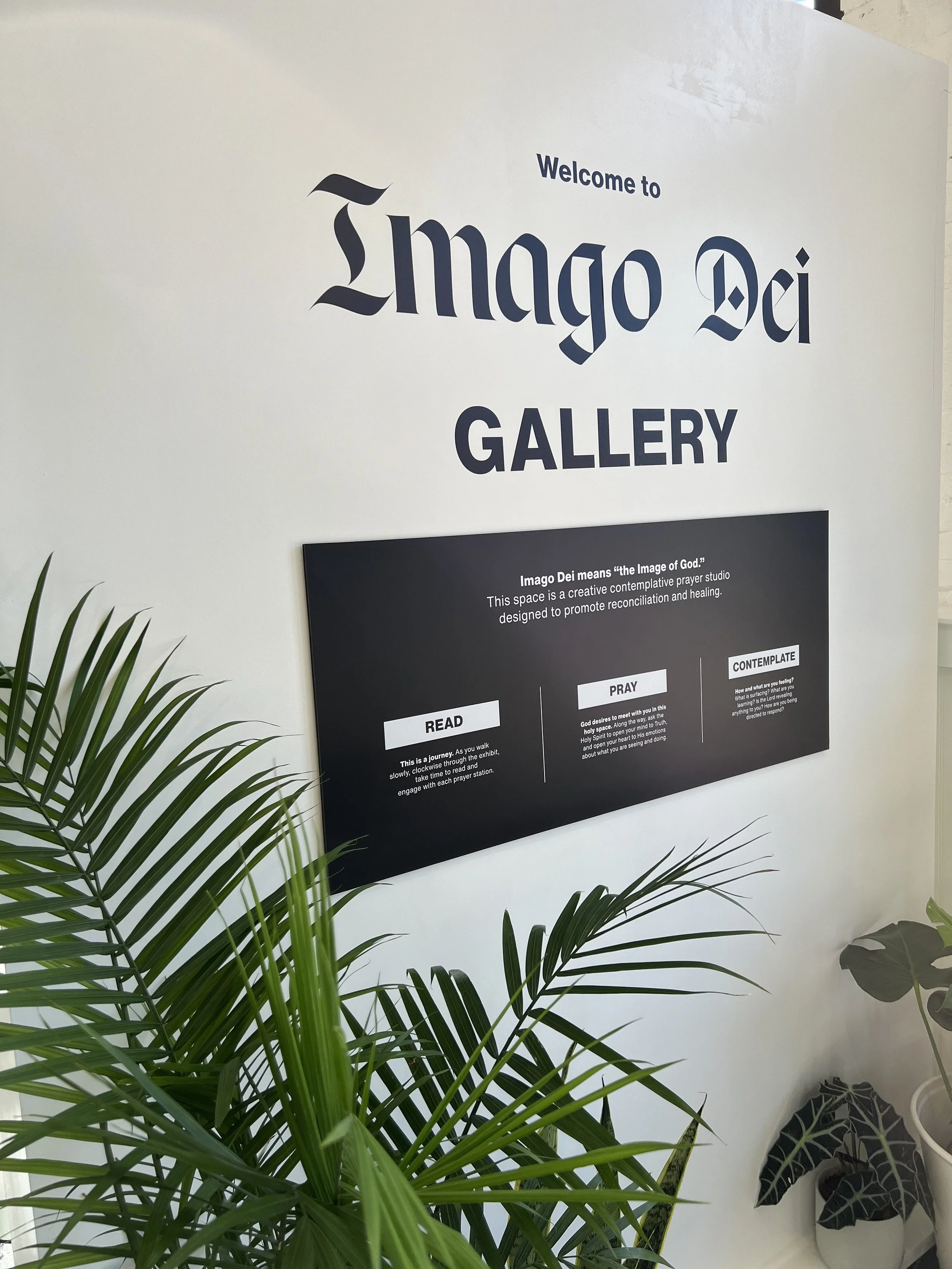 Imago Dei Gallery — THE GARDEN