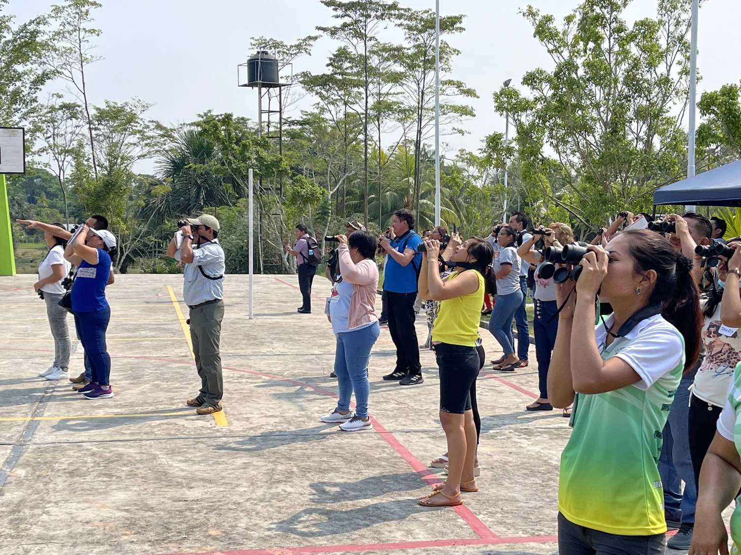 CONAPAC, Nonprofit in Peru