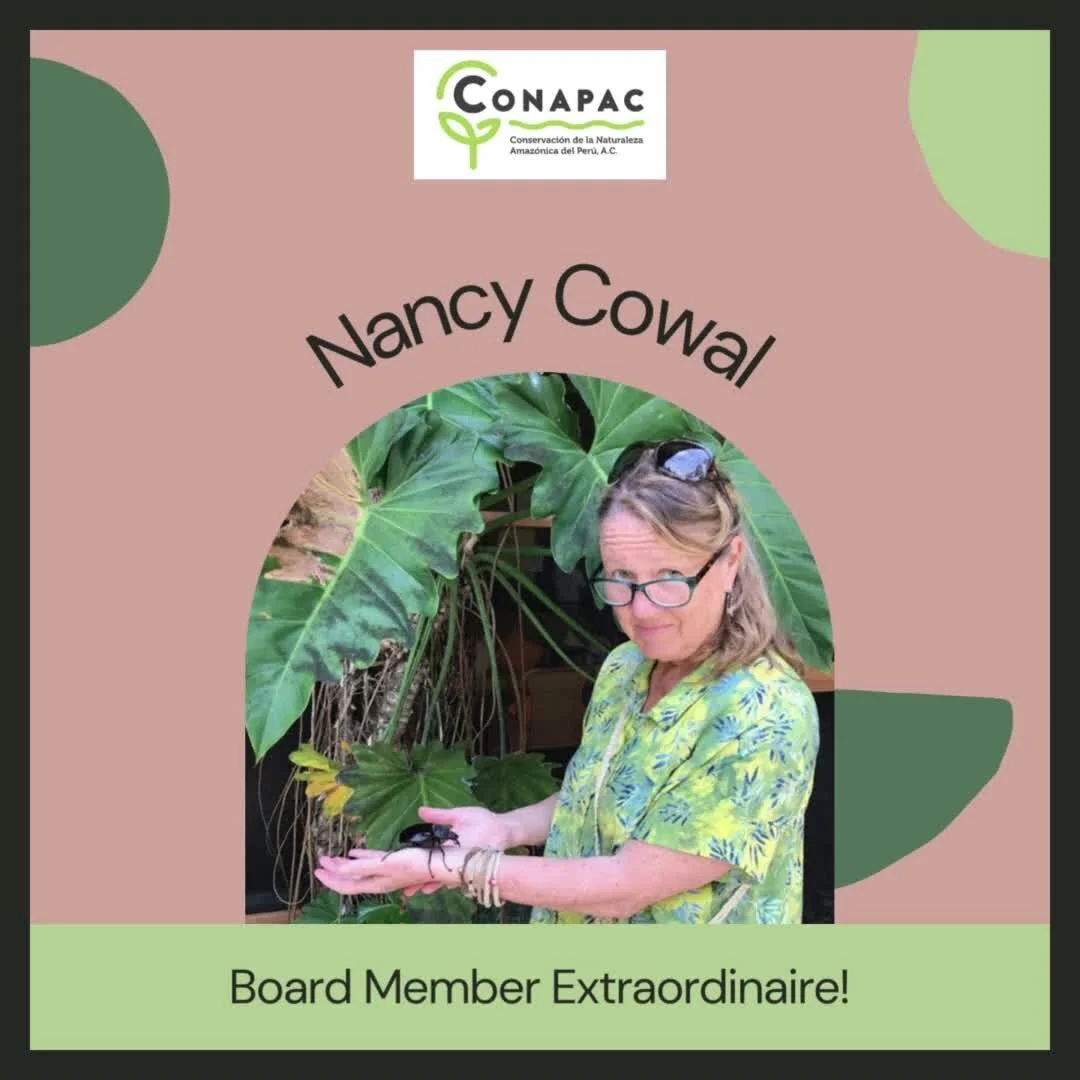 Be Involved — Conapac