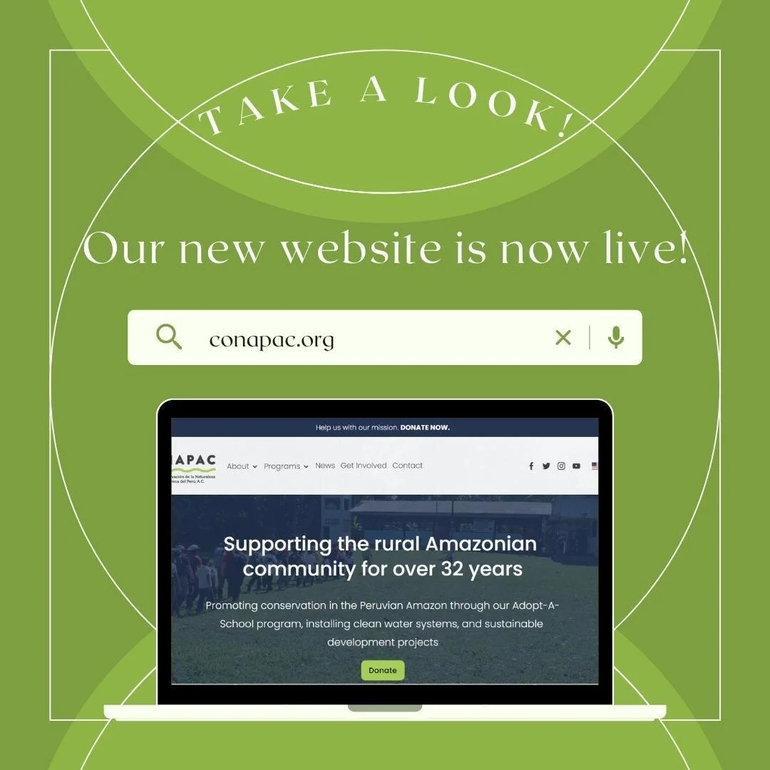 Be Involved — Conapac