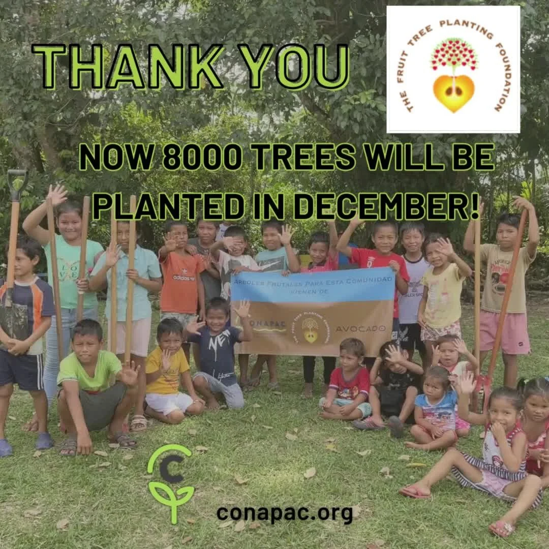 CONAPAC, Nonprofit in Peru