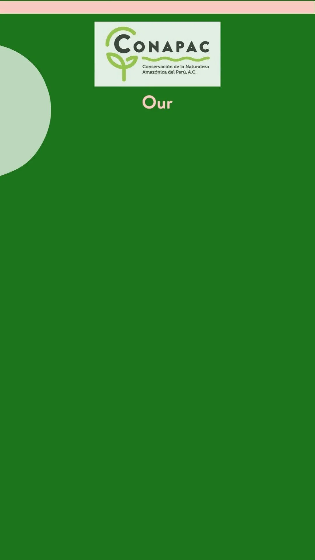 CONAPAC, Nonprofit in Peru