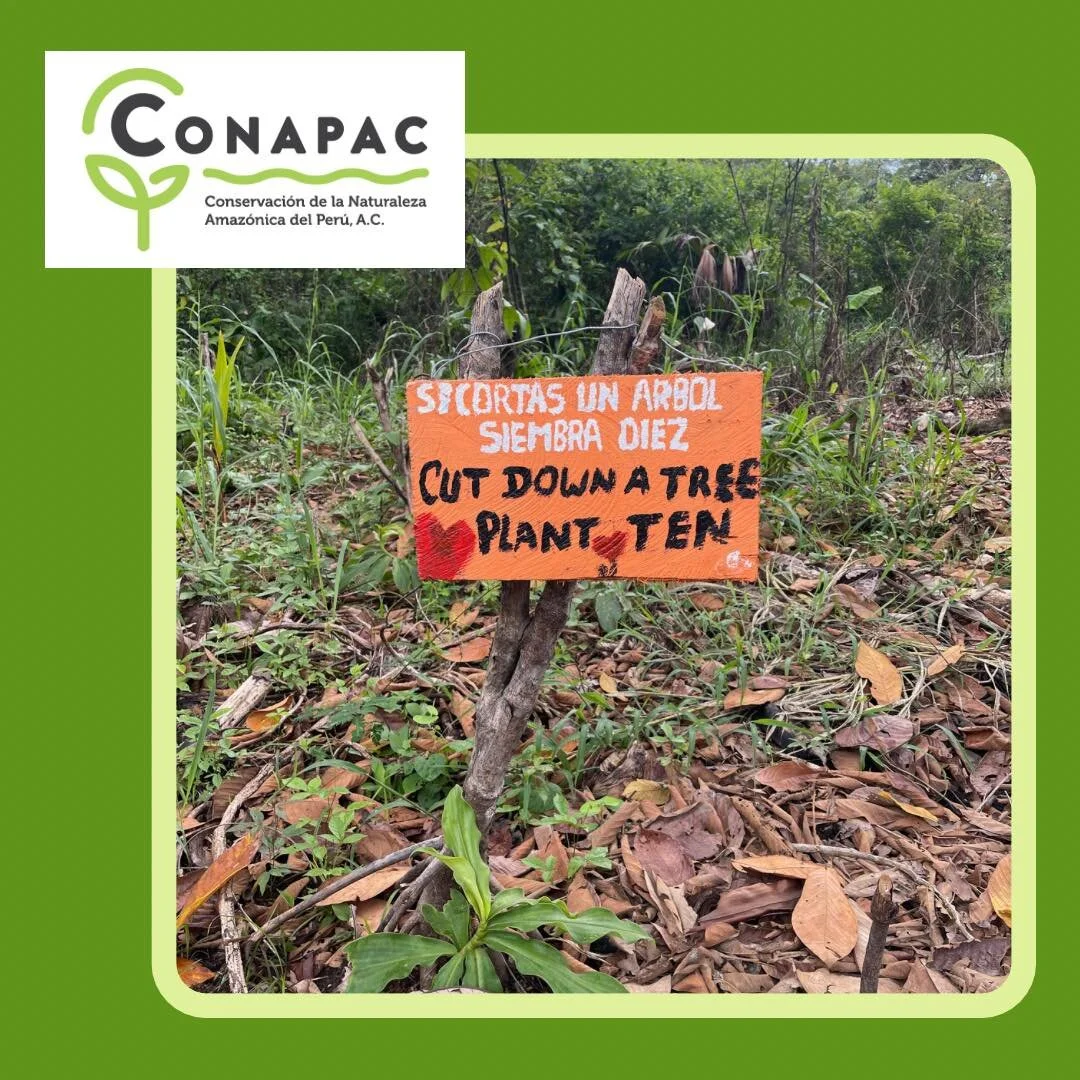 Donate Now — Conapac