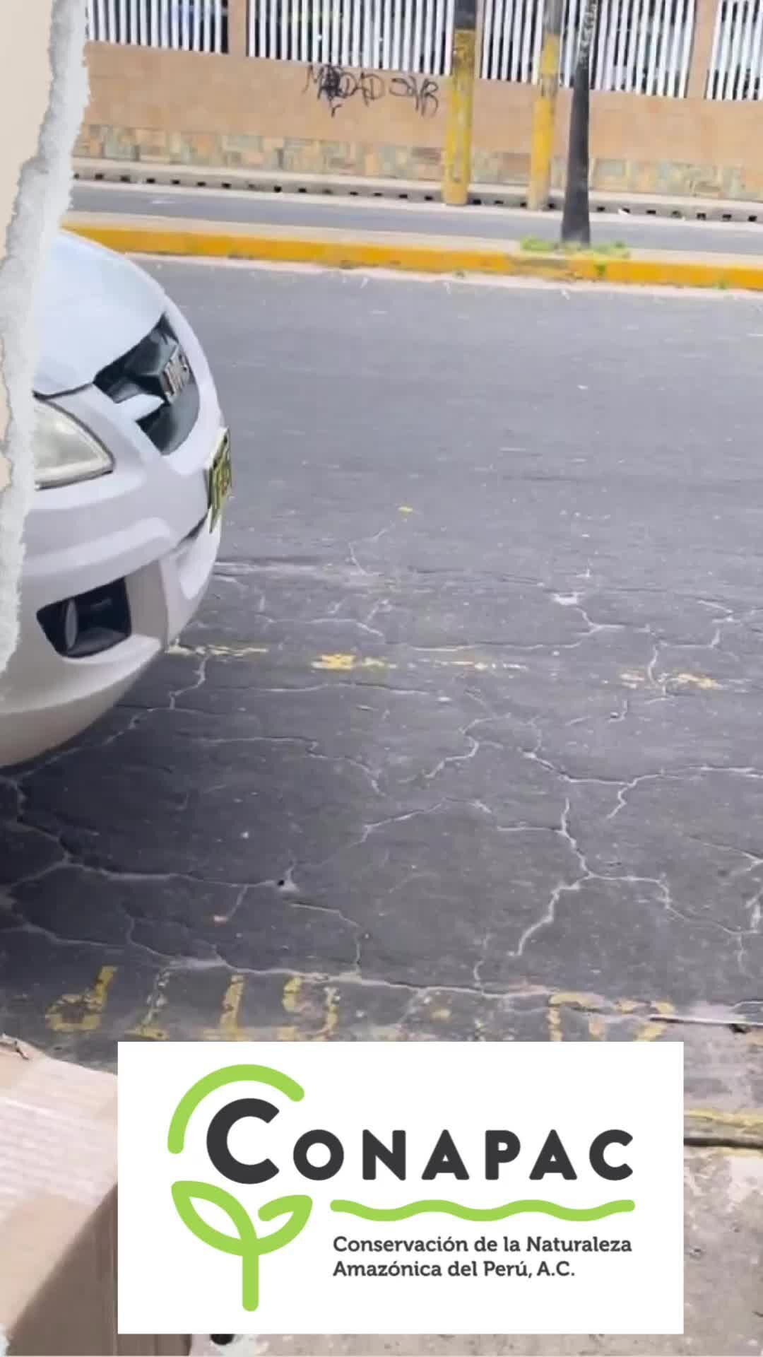 CONAPAC, Nonprofit in Peru