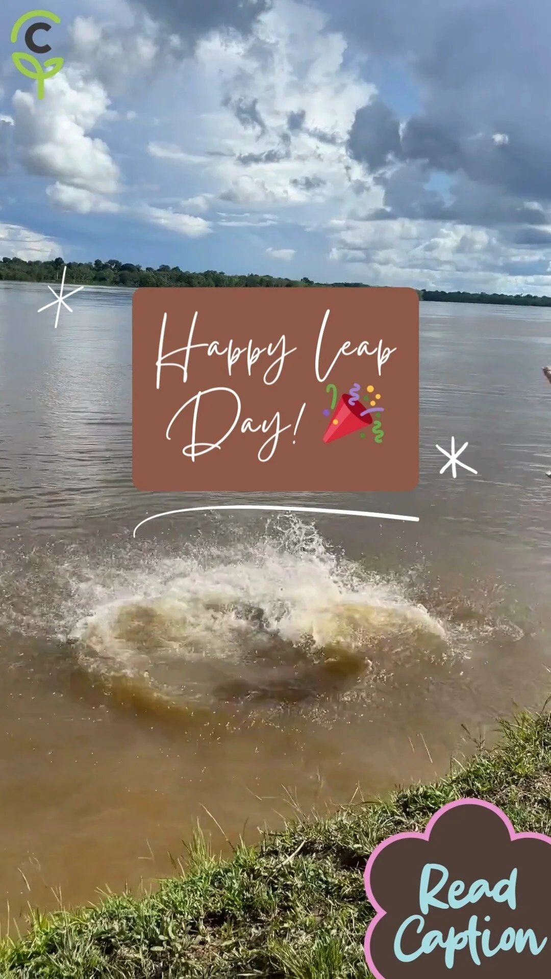 CONAPAC, Nonprofit in Peru