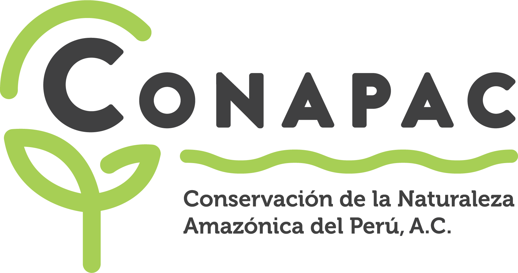 CONAPAC, Nonprofit in Peru