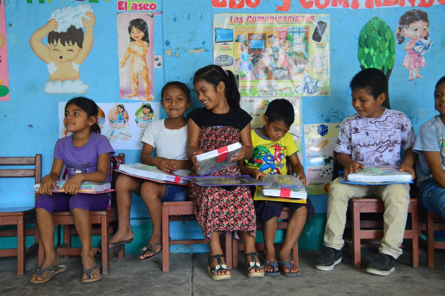CONAPAC, Nonprofit in Peru