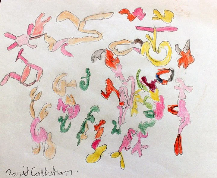 DAVID CALLAHAN — Visionaries + Voices