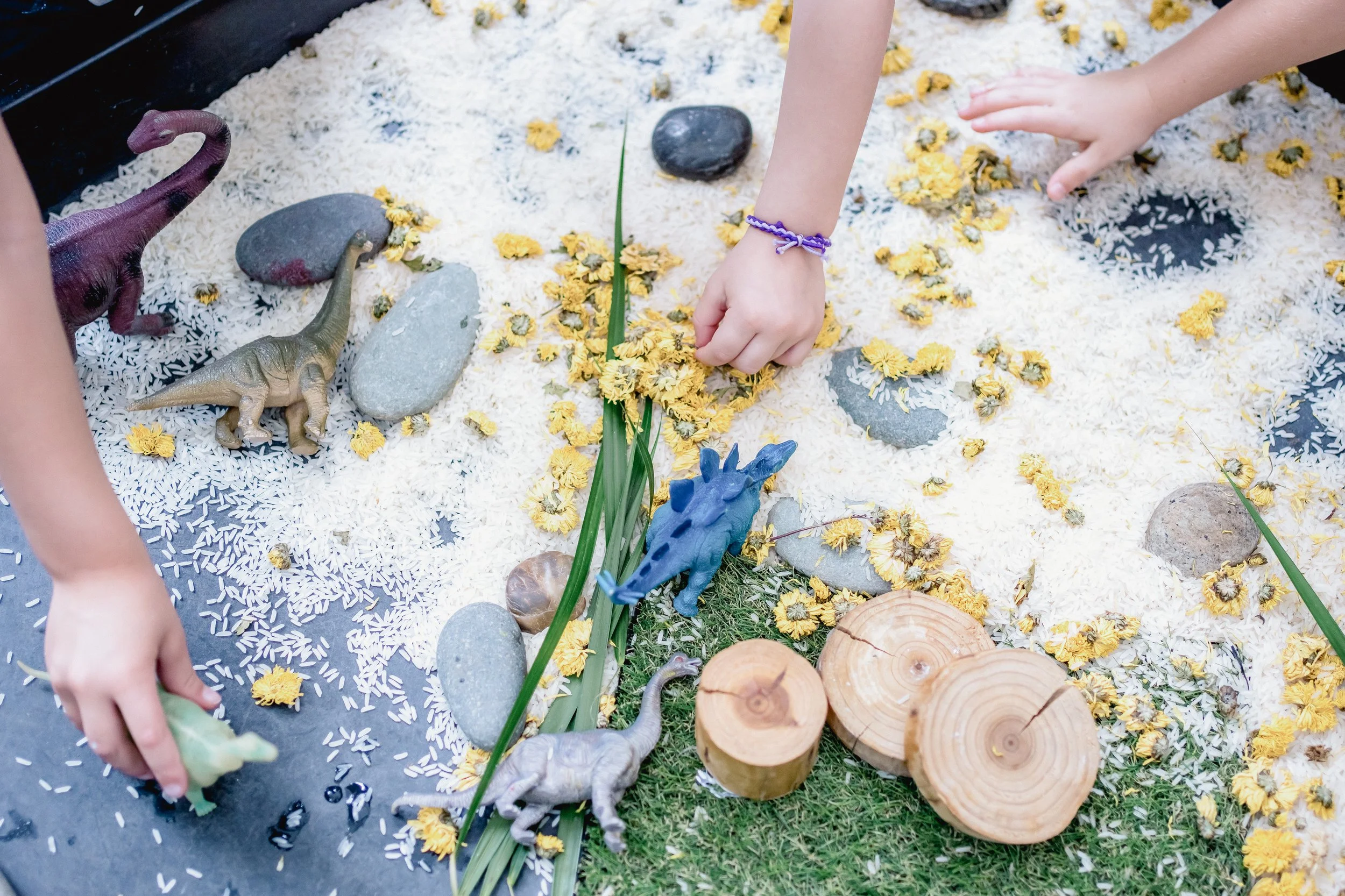 Wilderness Kindergarten