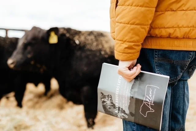 Allen Brothers Cattle