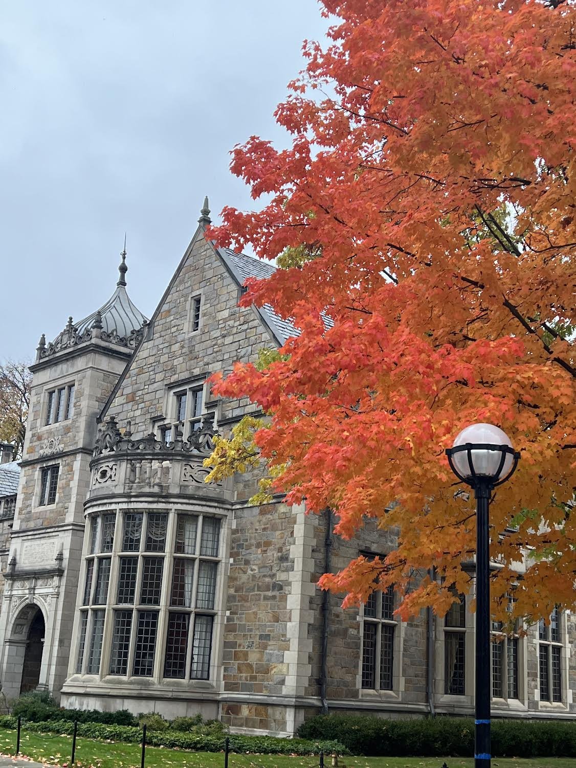 Studio Jashtë Vendit — (ISA) International Studies Academy