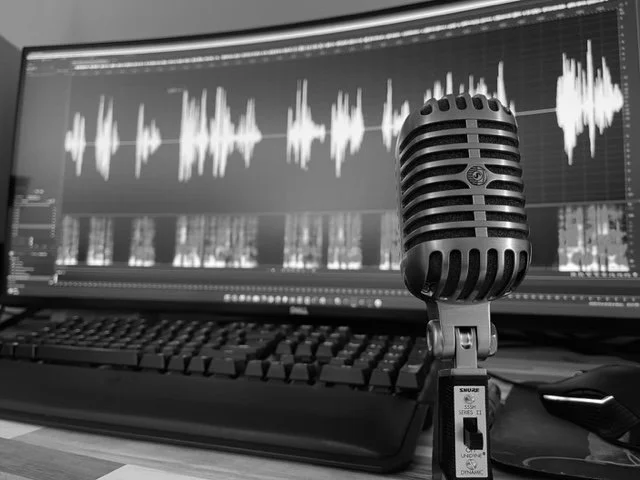 Stag Audio & Narration Voice Over