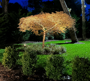 Lighting — Elevated AV