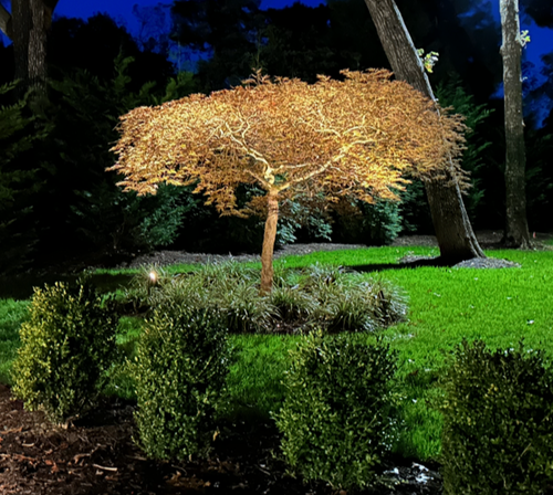 Lighting — Elevated AV