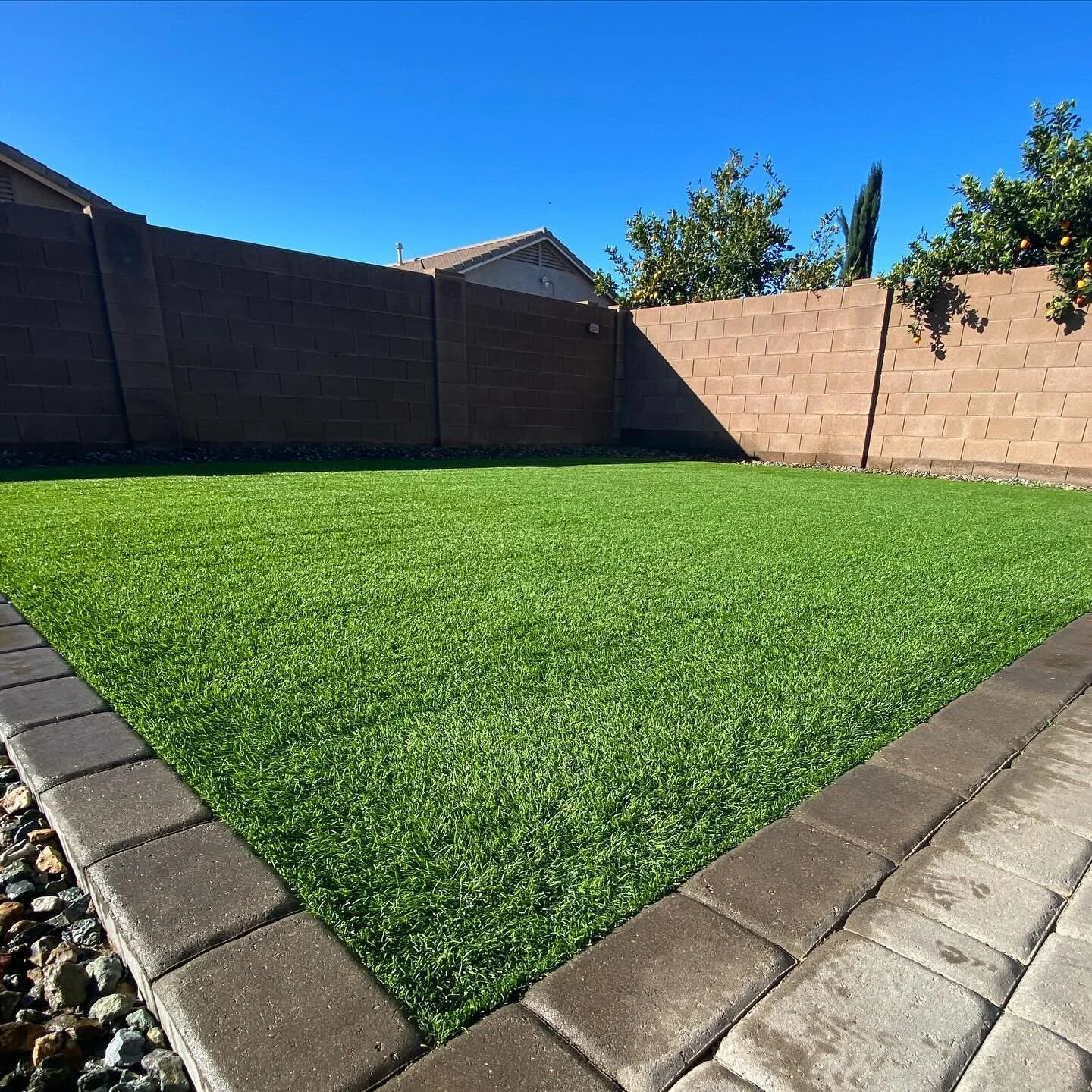 Arizona Turf Cleaning - Kiwi Turf Cleaners