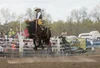 About — High Country Stampede Rodeo