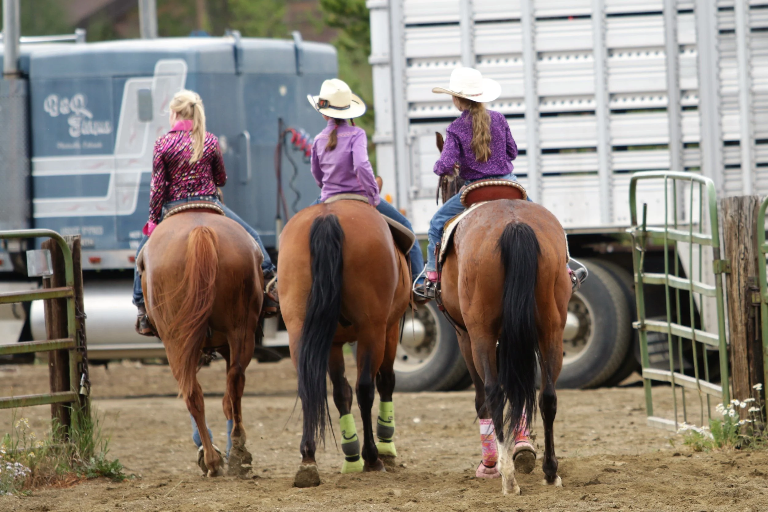 Gallery — High Country Stampede Rodeo